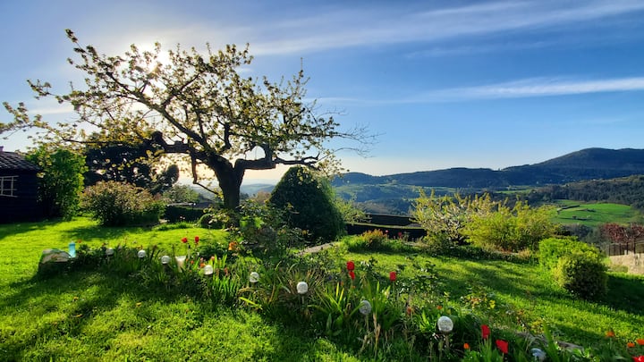 "Félicité" ! Tout Nouveau Gîte à Saint Félicien - Lalouvesc