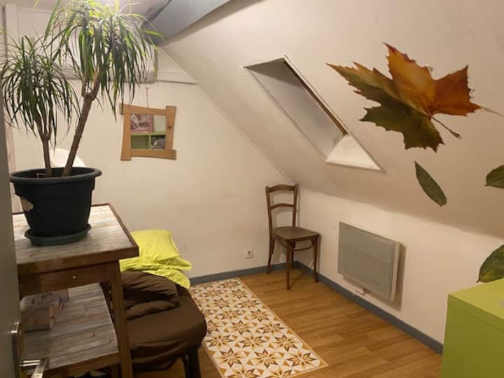 Location Chambre, Cadre Agréable - Cauvigny