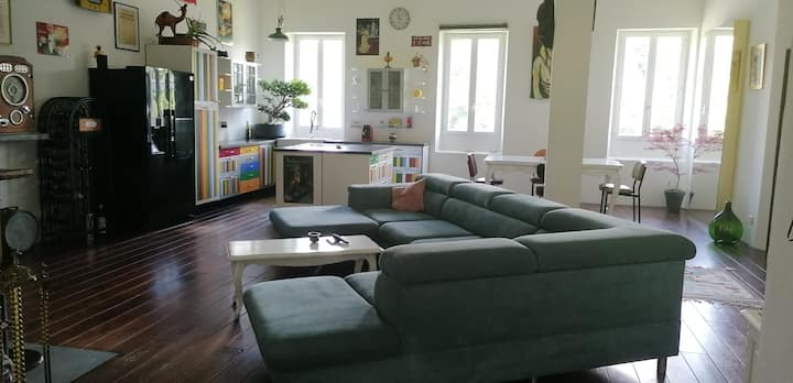 Loft, Dans Ancienne Usine. - Pont-en-Royans