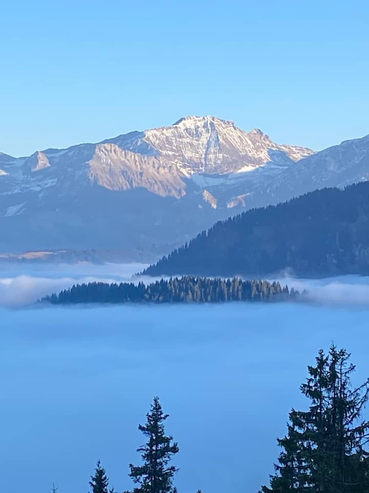 Grand Appart. Spacieux Rénové - Leysin