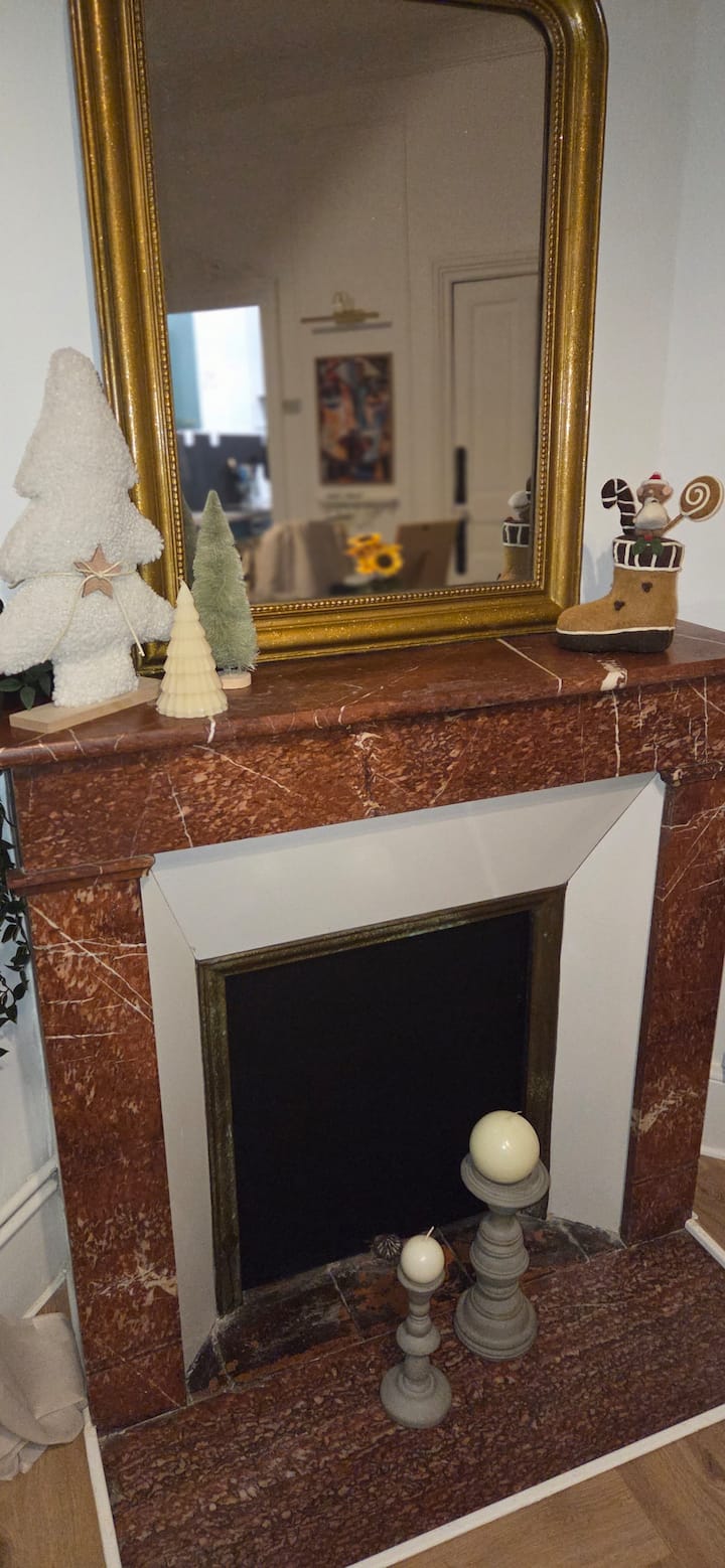 T2 Stylé - Garage -Cour, Quartier Central - Clermont-Ferrand