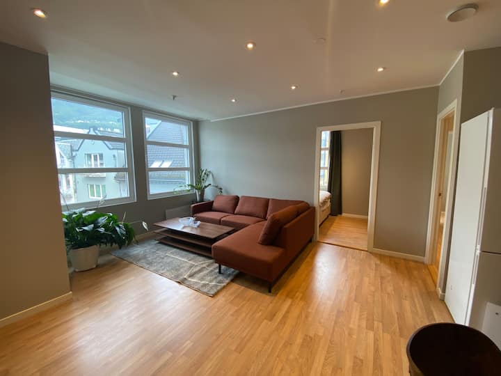 Modern Spacious Apartment - Bergen
