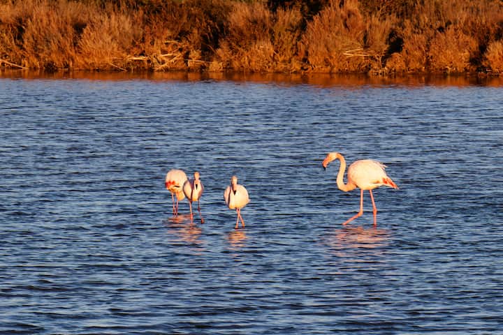 Chambre 2 à La Vernatelle - Pierrefeu-du-Var
