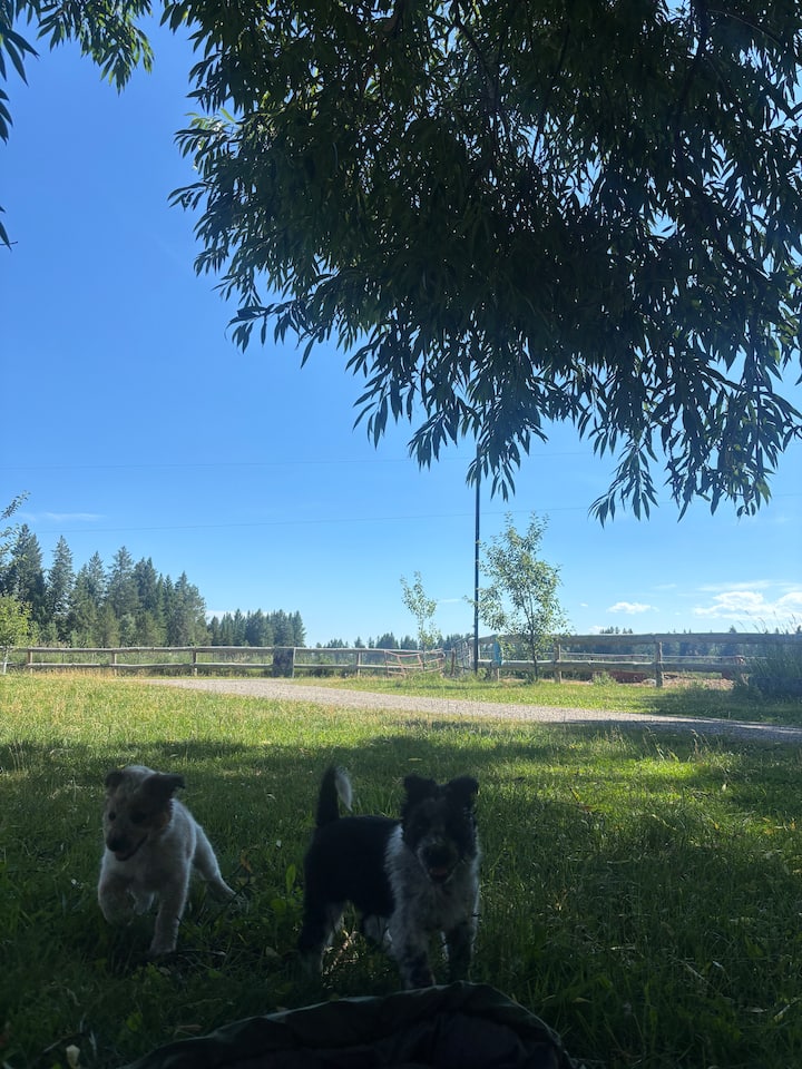 Rv Space Extraordinary Views. - Whitefish, MT