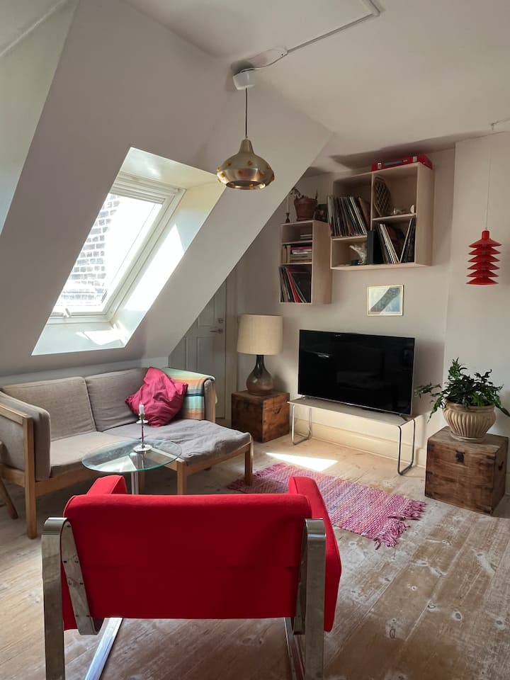Hjemlig Og Lys Lejlighed På Jægersborggade - Copenhague