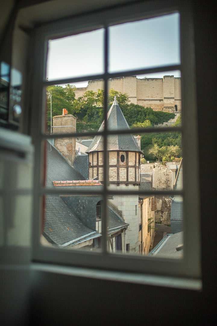 Studio Charmant Chinon Centre - Chinon