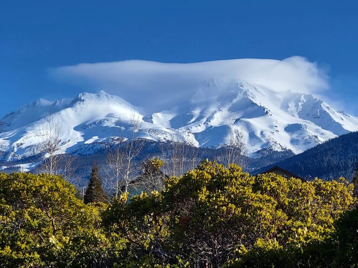 Mount Shasta Cozy Cottage, Views - Mount Shasta, CA