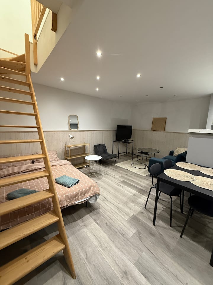 Calme Duplex En Centre Ville - Liège