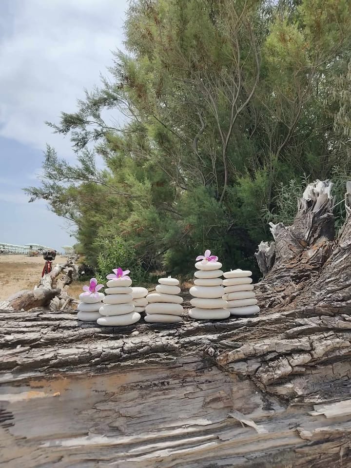 A Pochi Passi Dal Mare - Pineto