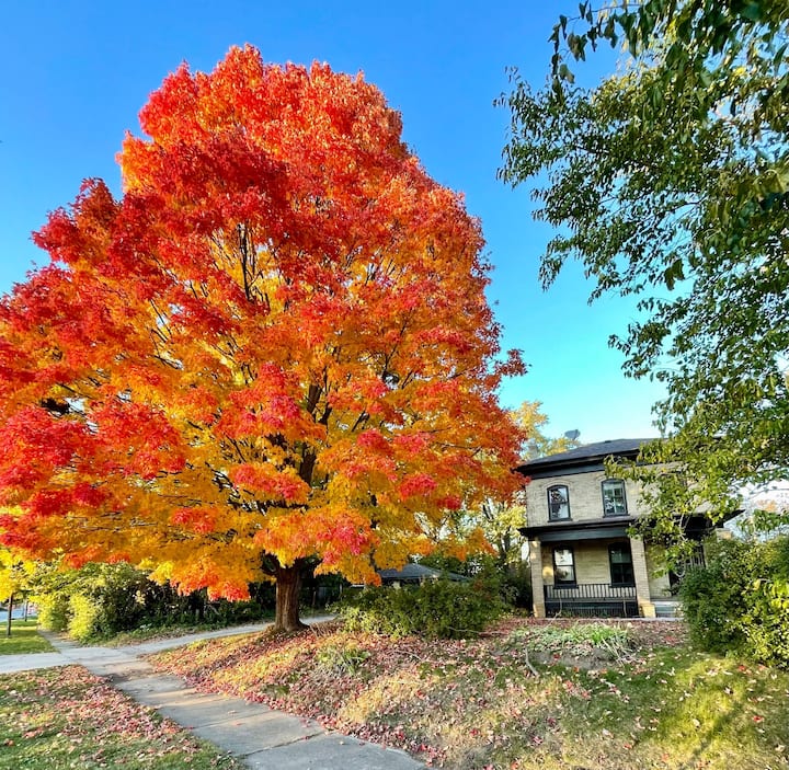 Historic 1867 Fox Mansion Elegant Victorian Stay - Racine, WI