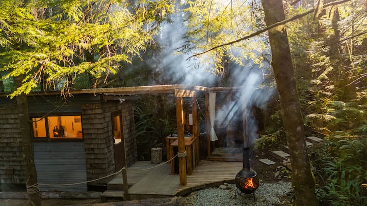 Fern Nest - Vancouver Island