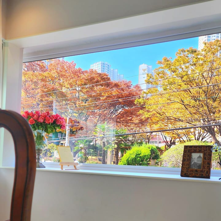 부산/New오픈/다대포의작은유럽/조식제공/놀이공간/옥상감성/공원뷰/ott - Busan