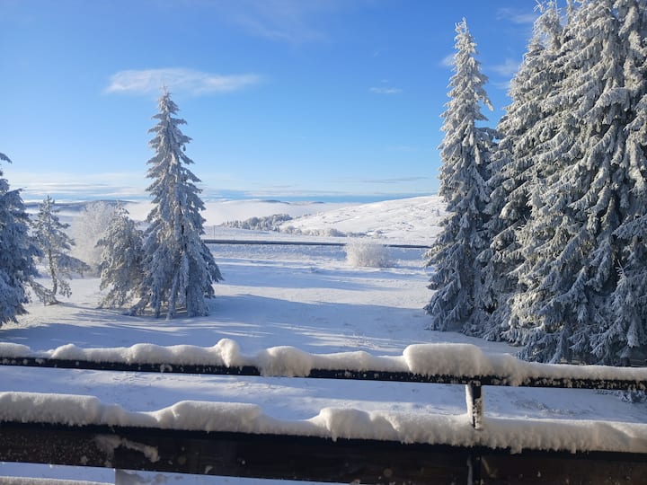 Appartement Duplex En Station - Besse-et-Saint-Anastaise