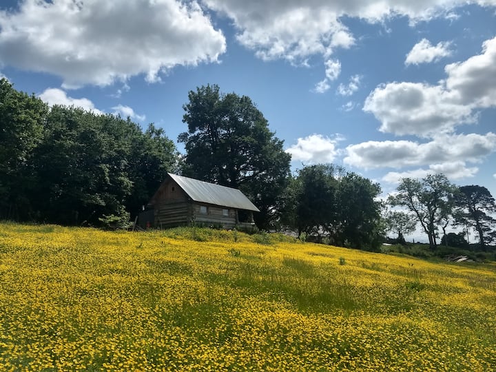 Gorgeous Hilltop Log Cabin - Shropshire