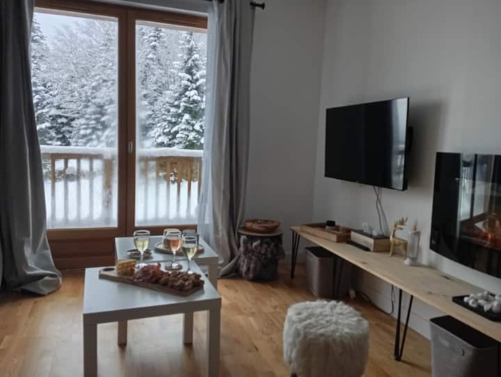 Le Refuge Des Ours - Guzet-Neige