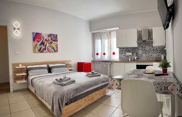 Monolocale Pressi Inalpi Arena E Stadio Olimpico - Turin