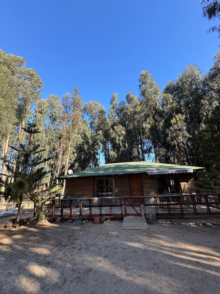 Bosque De Los Duendes - Quintero