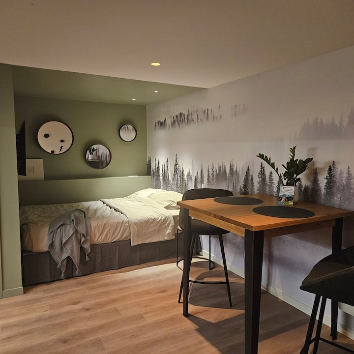 Studio Annecy à Talloires, Lac, Cascade Et Vélo - Talloires-Montmin