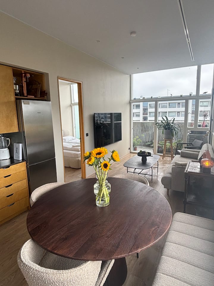 Beautiful One Bedroom Apartment Near City Center - Reikiavik