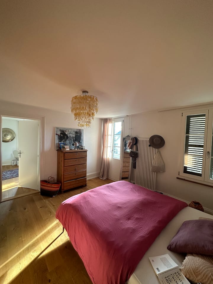 Cozy Apartment Next To Aare - Bern