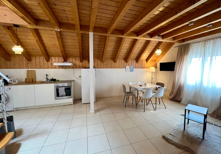 Modernes Apartment - Gernsheim