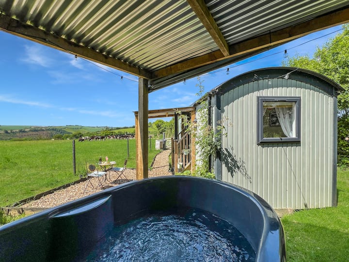 Daisy Shepherd's Hut - South Molton