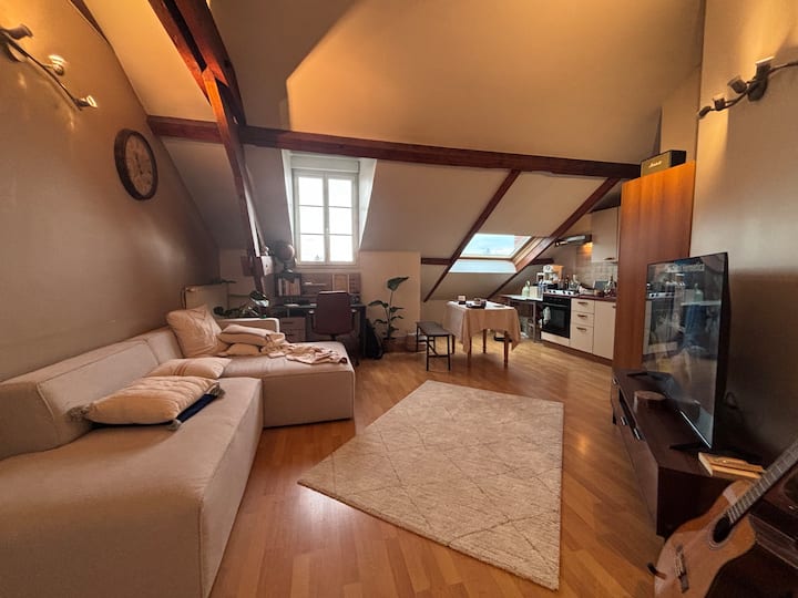 Jeanne D’arc Apt - Tinqueux