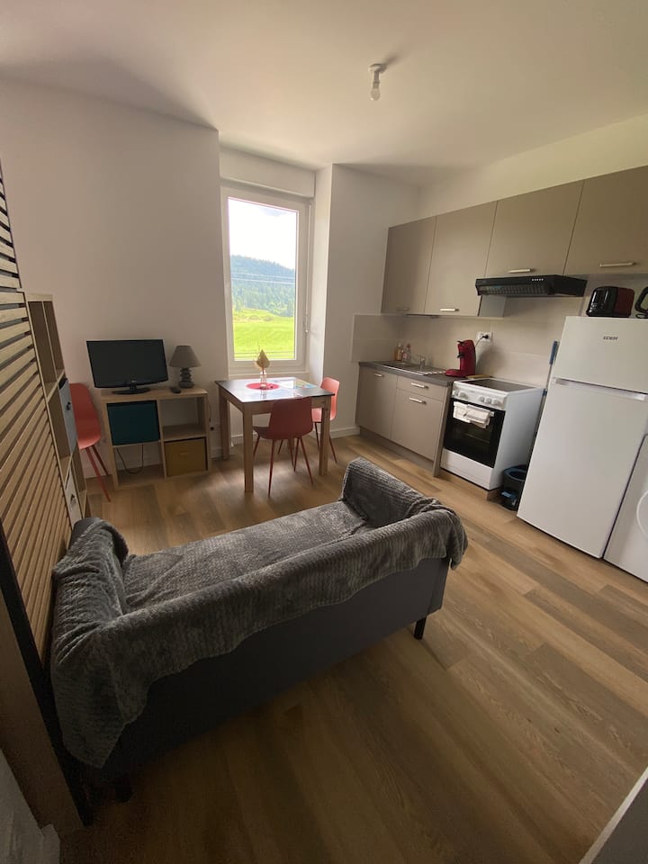 Appartement Cosy Haut Jura Idéal Randonnée/ski - Foncine-le-Haut
