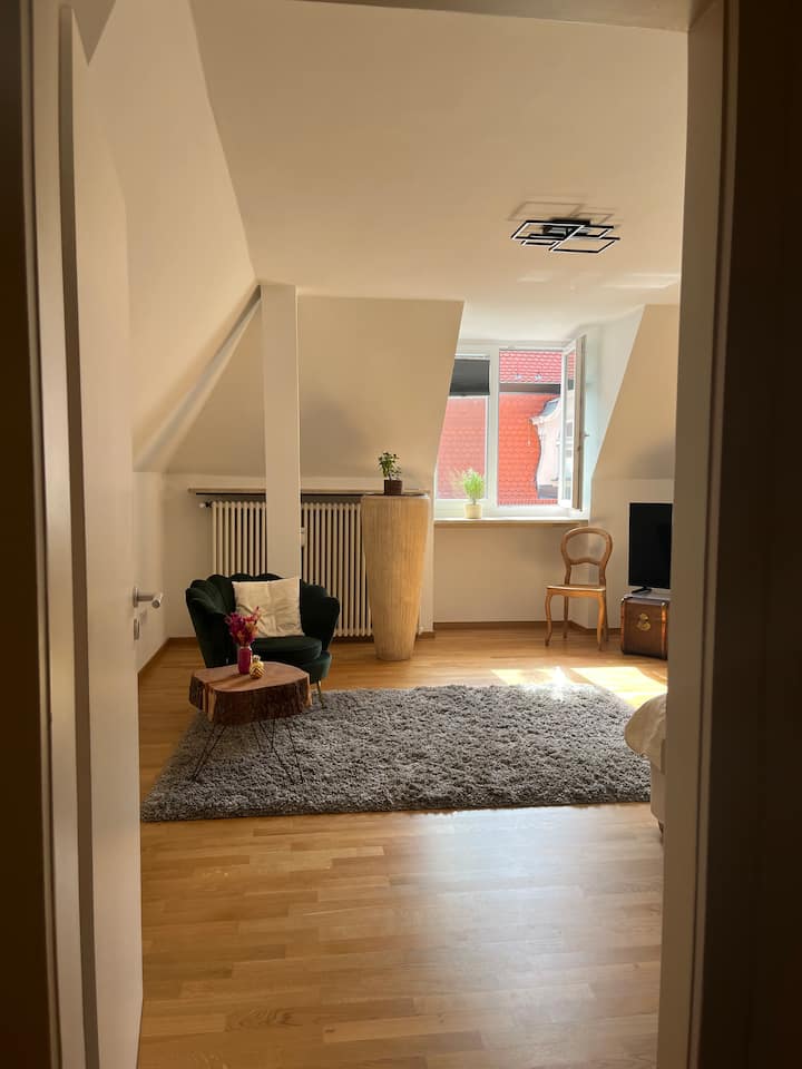 Stylistop-floor Apartment In The Heart Of The City - Munich