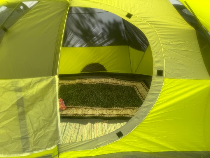 Lemon On Green Belt - Maple Ridge