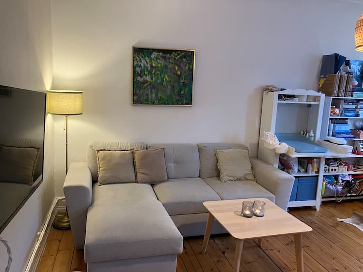 Charming And Spacious 3-room - Copenhagen