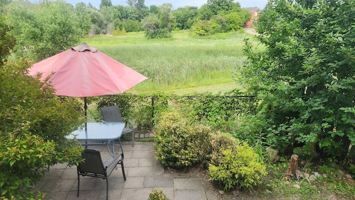 Walkout Bachelor Basement - Aurora