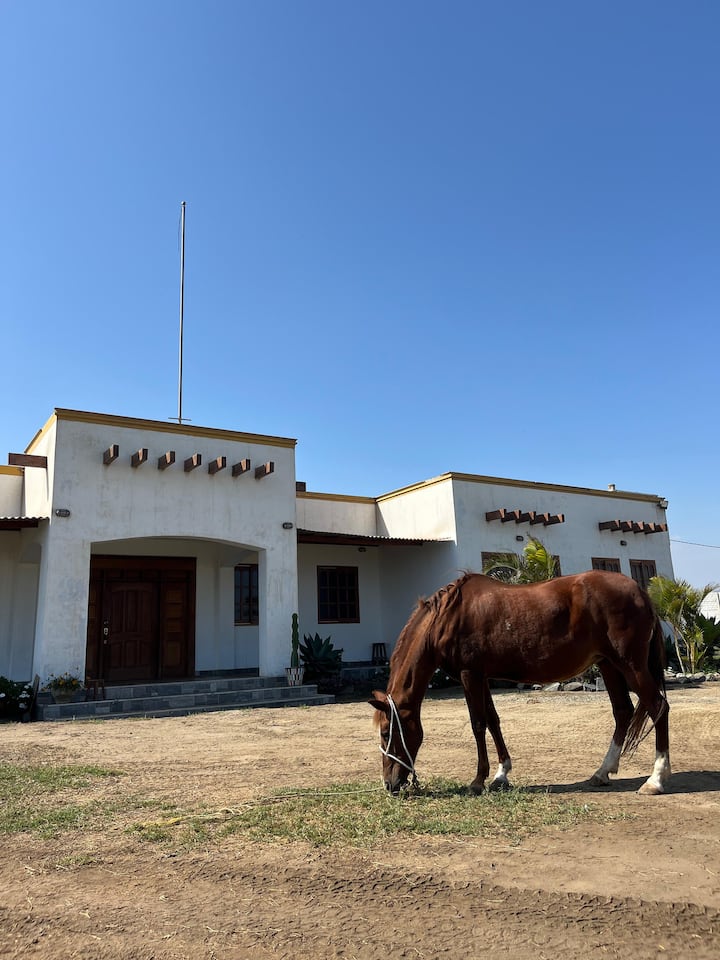 Casa Santa Apolonia - Salaverry