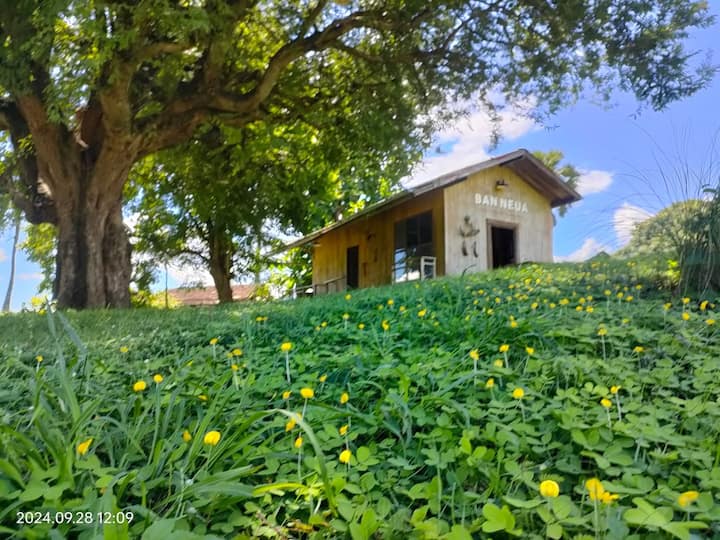 Banneua Local Life (Banneua) - Chiang Mai