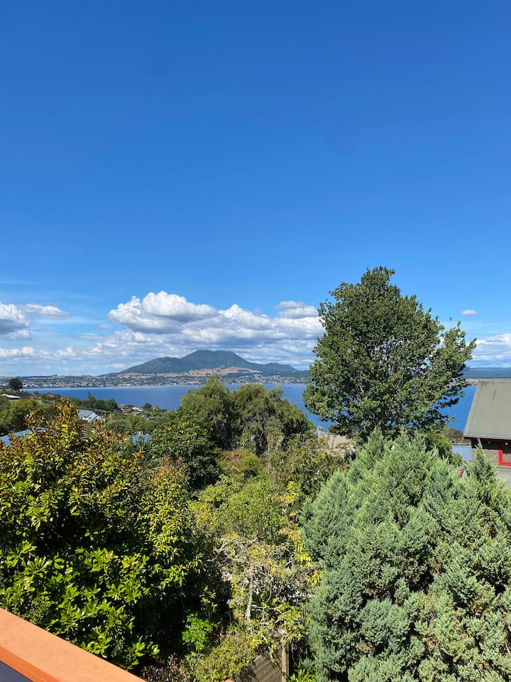 Architectural Gem With Views - The Artist House - Taupō