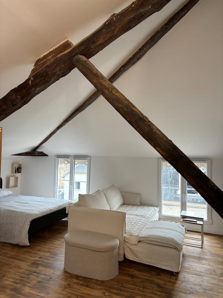 Studio 40m2 à Bar-sur-aube «&nbsp;Andréa" - Nigloland