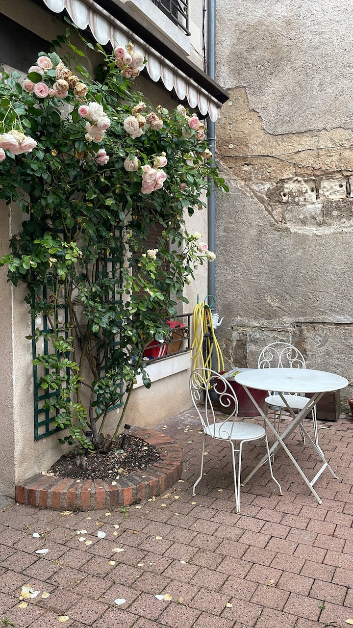Maisonnette Au Cœur De La Ville - Saint Aignan