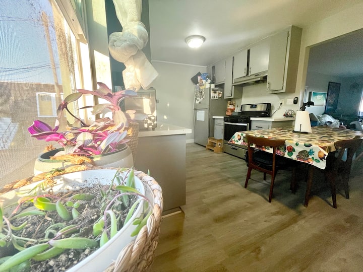 Artsy Family Home, Skyline View! Cats To Love! - Long Beach, CA