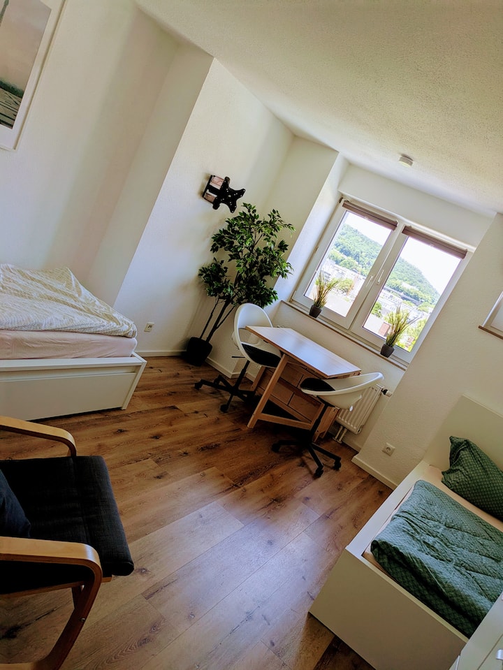 Gemütliches City-appartment - Siegen