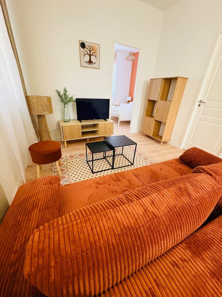 Appartement Rénové Centre Historique - Albi