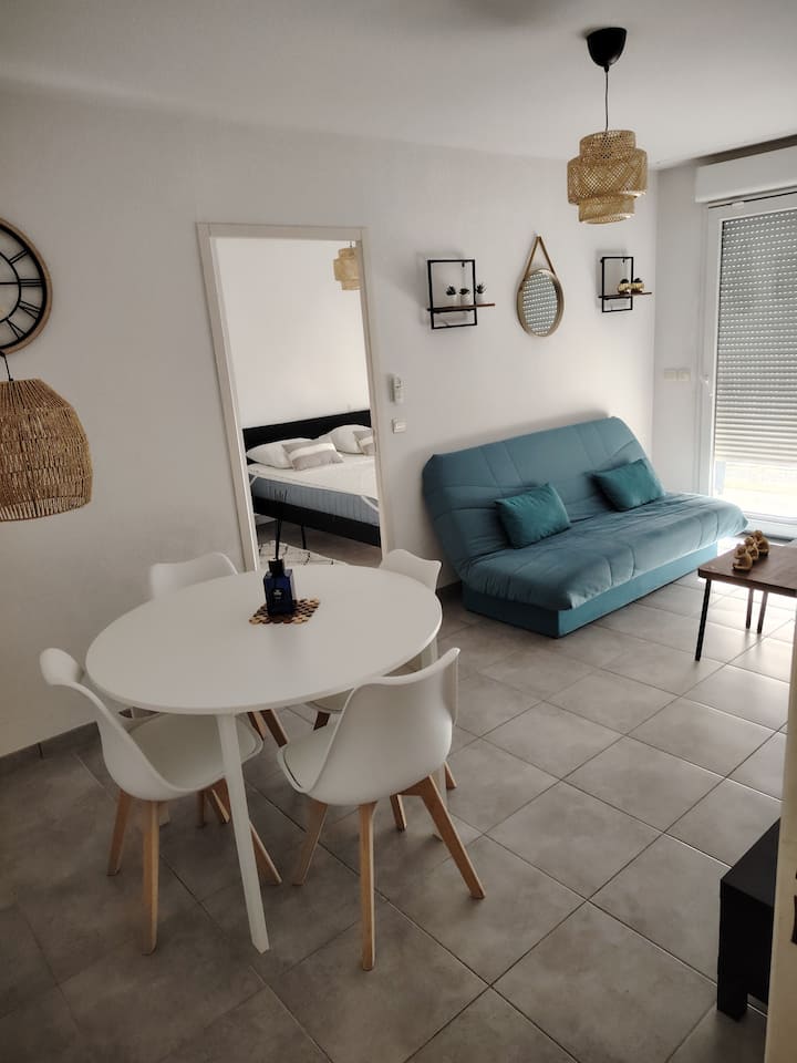 Superb Two-room Apartment In Perpignan + Parking, Beach 15/20 Minutes Away - Perpignan