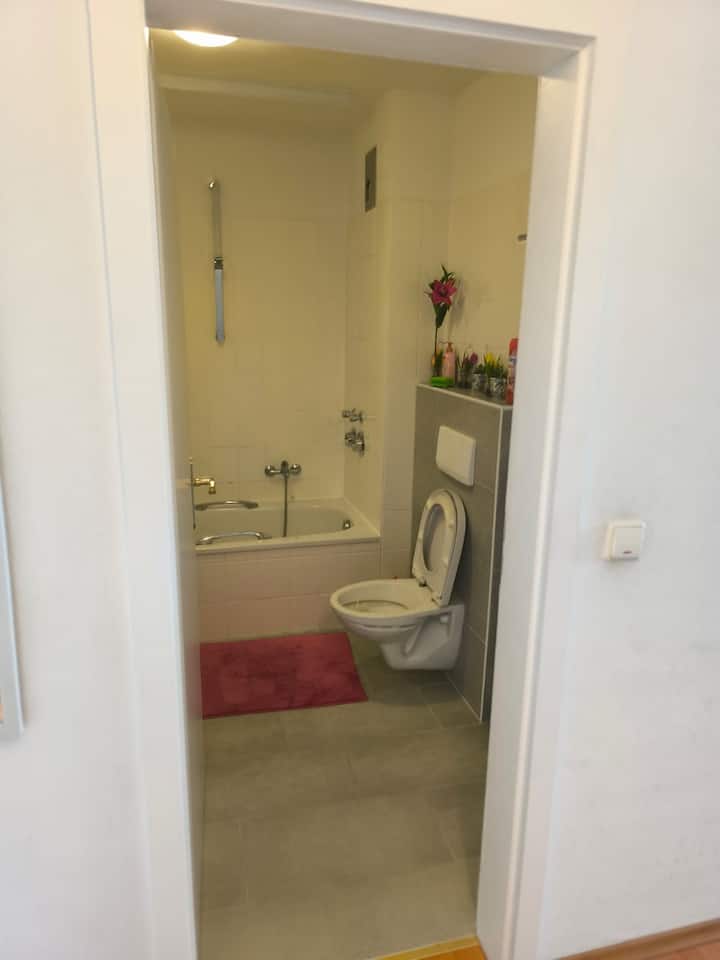 Joli Petit Appartement - Maintal