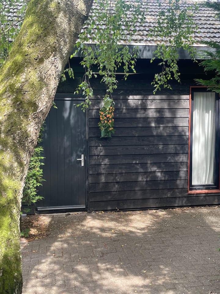 Ijsselmeer Lake House A - Medemblik