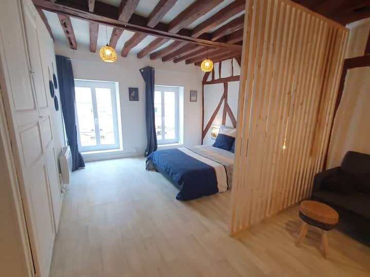 La Trame Bourguignonne ~ Centre Ville - Auxerre