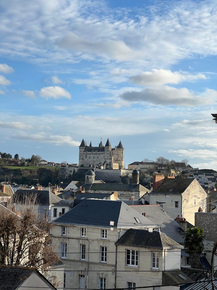 Appartement Chaleureux - Saumur