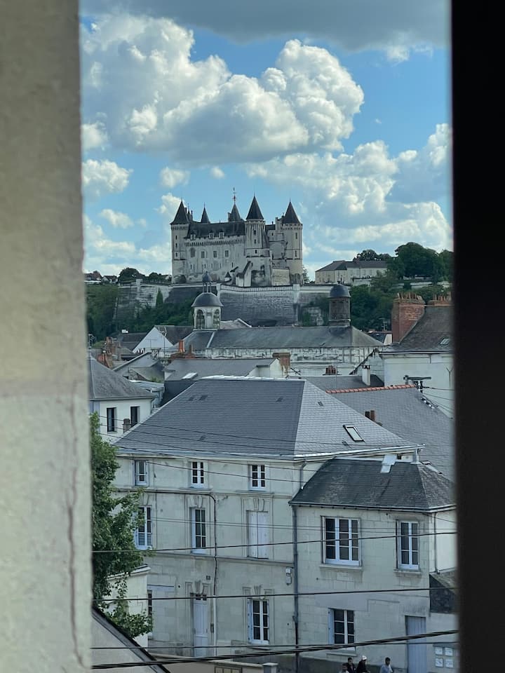 Appartement Chaleureux - Saumur