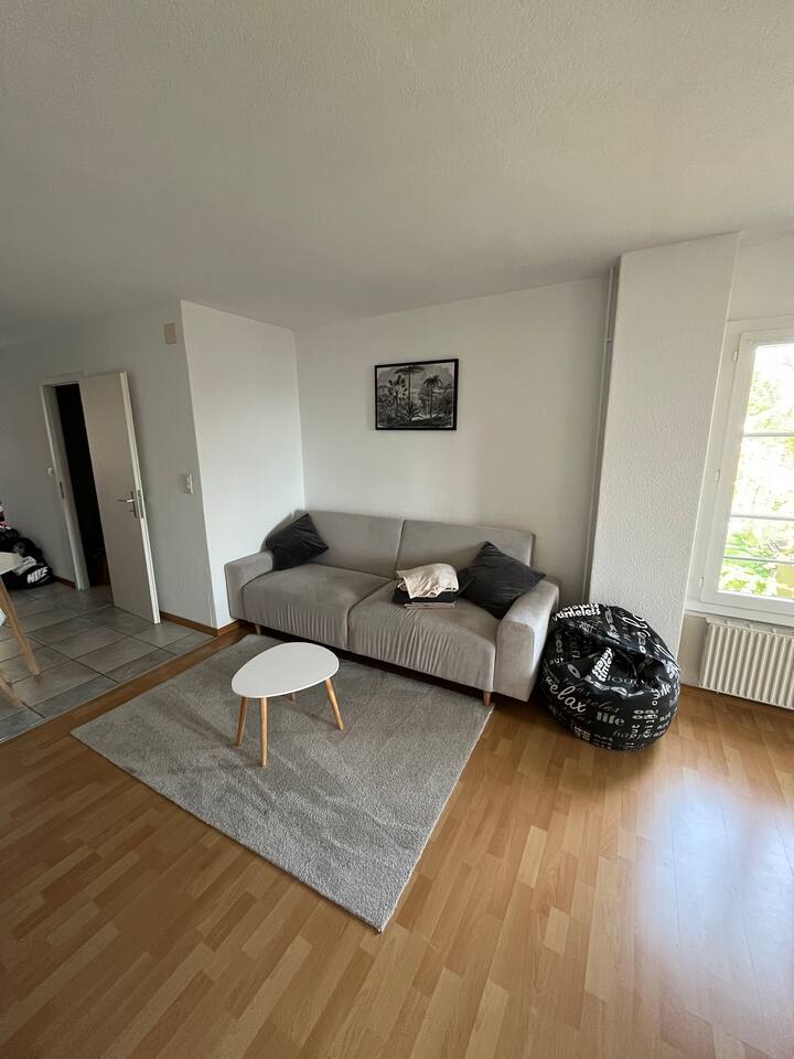 Grand Studio De 40 Mètres Carrés - Neuchâtel