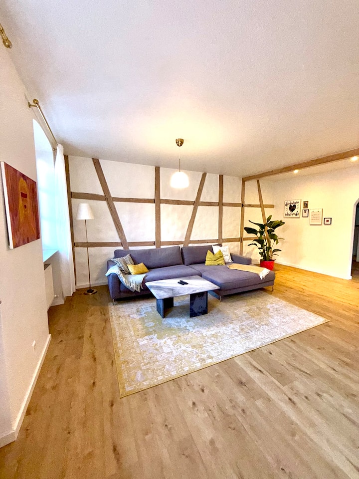 Charmantes, Stilvolles Apartment Am Schlossplatz - Schwetzingen