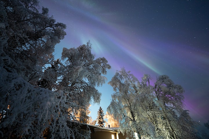 Two Bedroom Duplex Near Town W/large Parking Area. - Alaska