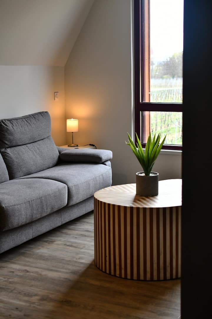 Appartement Riesling - Kaysersberg